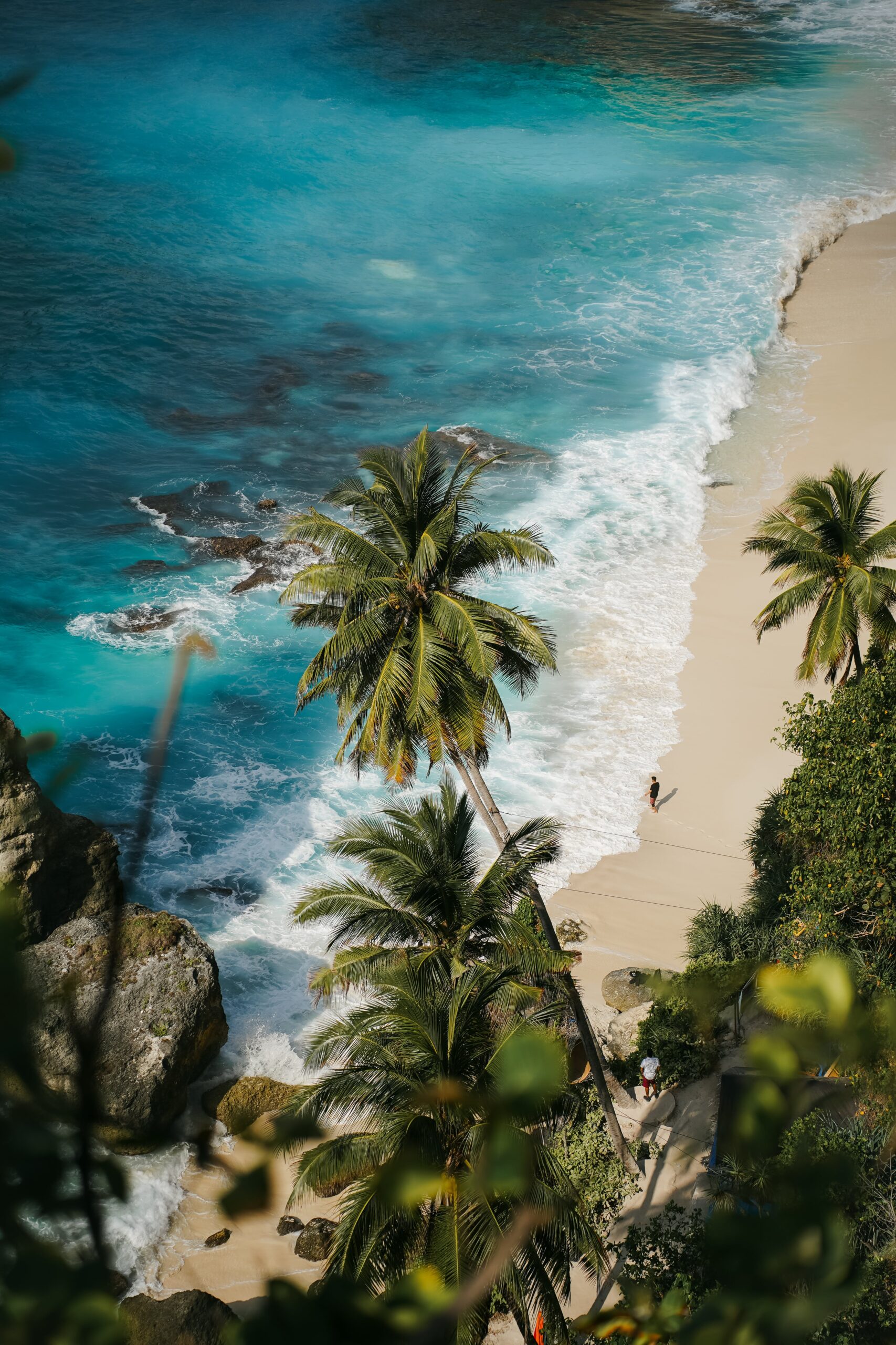 Experience Christmas in Bali: Unveiling Tropical Magic! | Maribel Villa ...